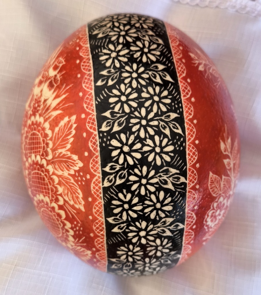 Jaja Strusie - Niska cena na Allegro.pl