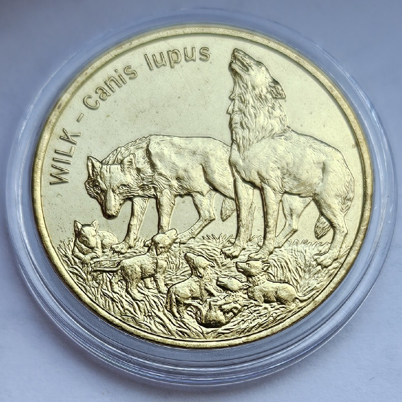 2 złote 1999 Wilk stan menniczy | Bielsko-Biała | Licytacja na Allegro ...