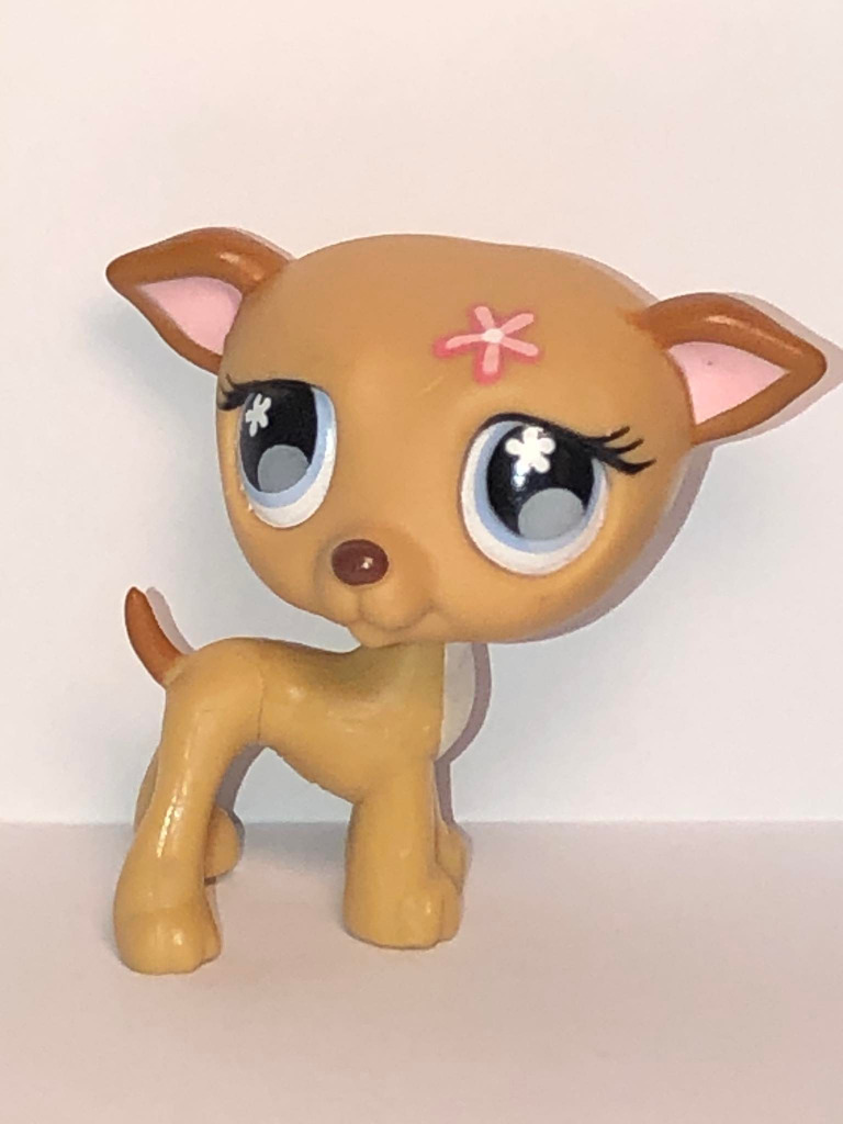 LPS Littlest Pet Shop #498 whippet pies | Kraków | Kup teraz na Allegro ...