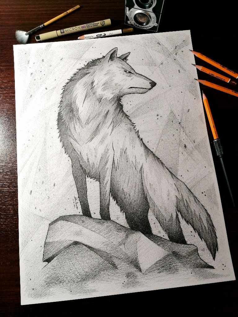 Rękodzieło rysunek obraz Wilk a3 30x40cm | Kielce | Kup teraz na ...