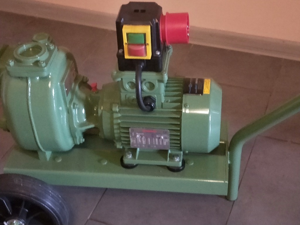 Pompa VICTOR PUMPS : S40F31T+T+SQ | Śmigiel | Ogłoszenie na Allegro ...