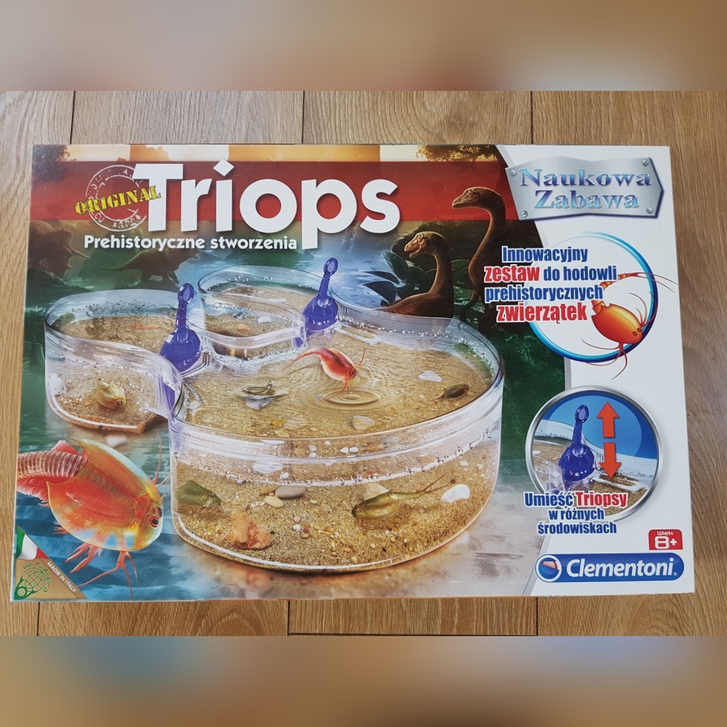 visszaesik felnő Rothadt hodowla triopsów clementoni Kollektív hegedű ...