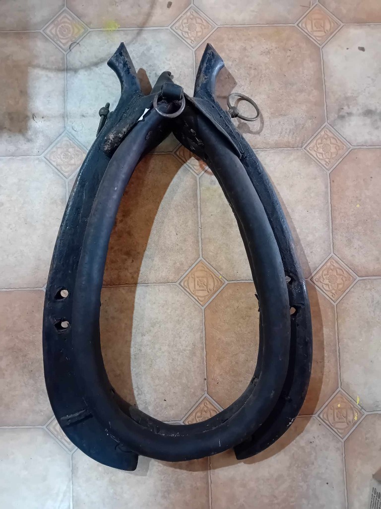 Homonto dla konia | Brok | Kup teraz na Allegro Lokalnie