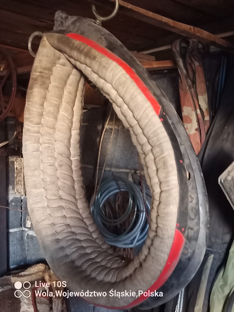 Chomonto do konia z poduszką | Wola | Ogłoszenie na Allegro Lokalnie