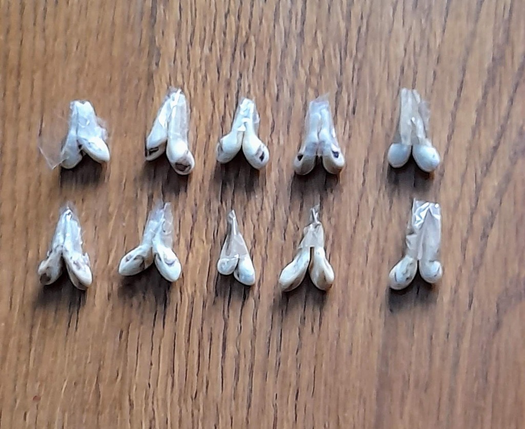 Grandle Jelenia (zęby Jelenia) - Niska cena na Allegro