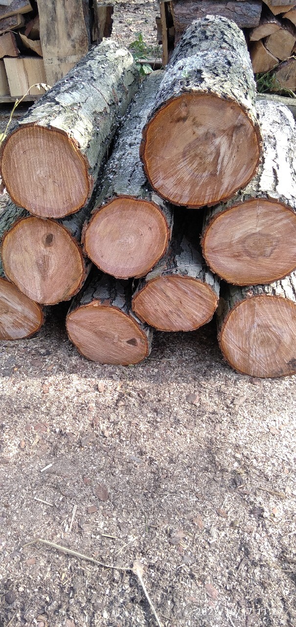 Olszyna olcha drewno 22 kg | Tuliszków | Kup teraz na Allegro Lokalnie