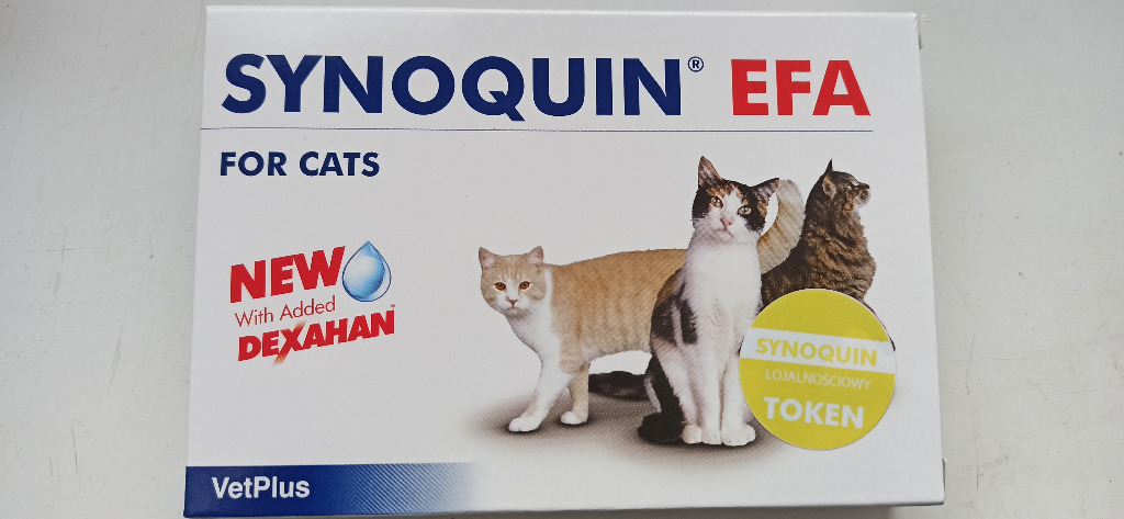 Synoqiun for cats, dla kotów | Lewin Brzeski | Kup teraz na Allegro ...