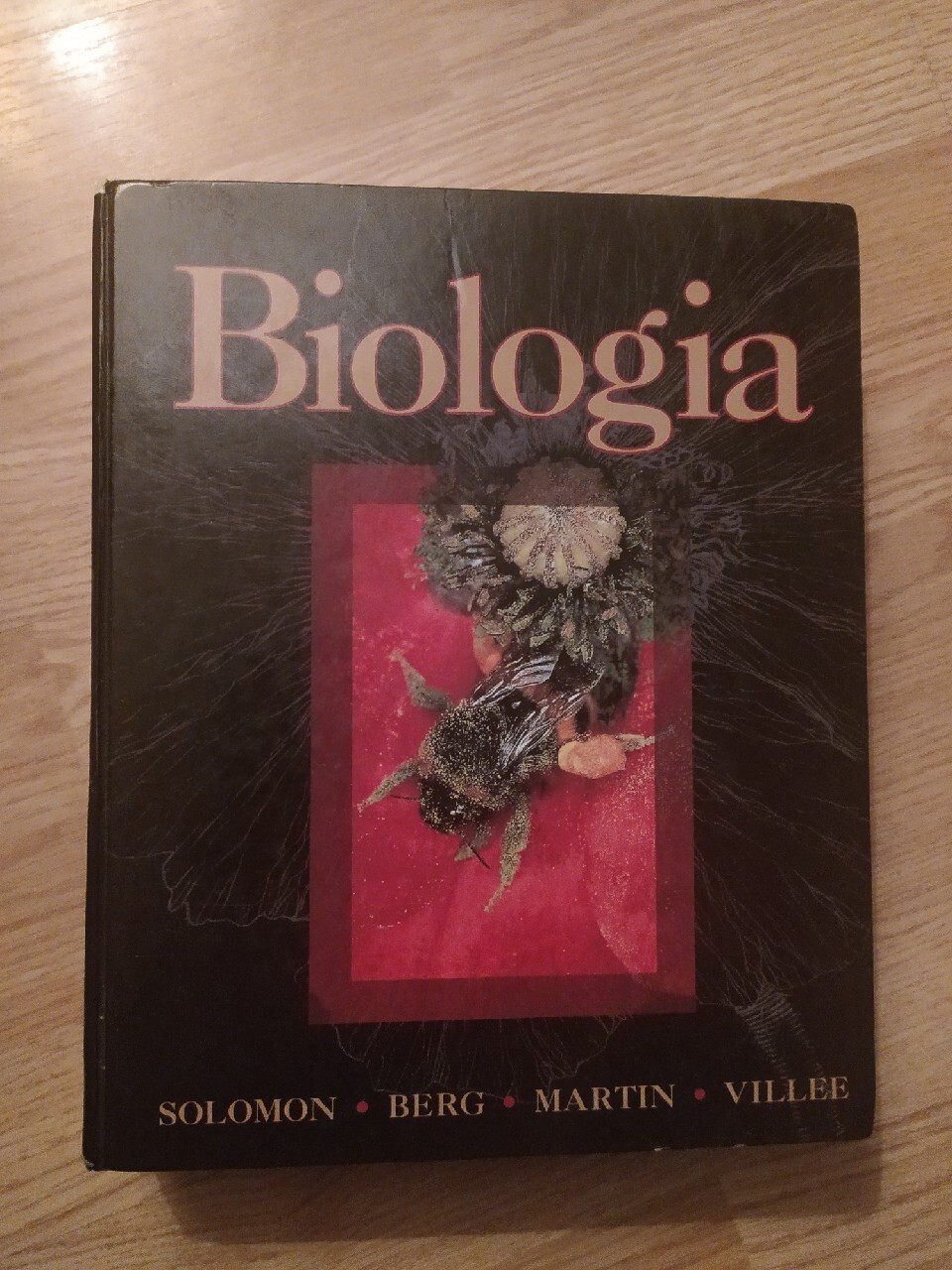 Biologia Solomon Berg Martin Villee- Wydanie 2. | Kielce | Kup teraz na ...