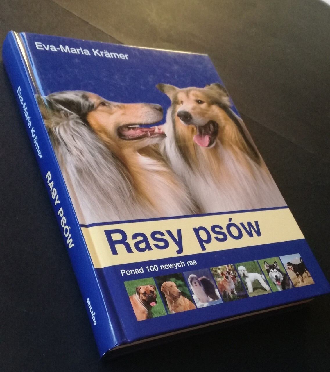 Album Rasy Psów - Niska cena na Allegro.pl