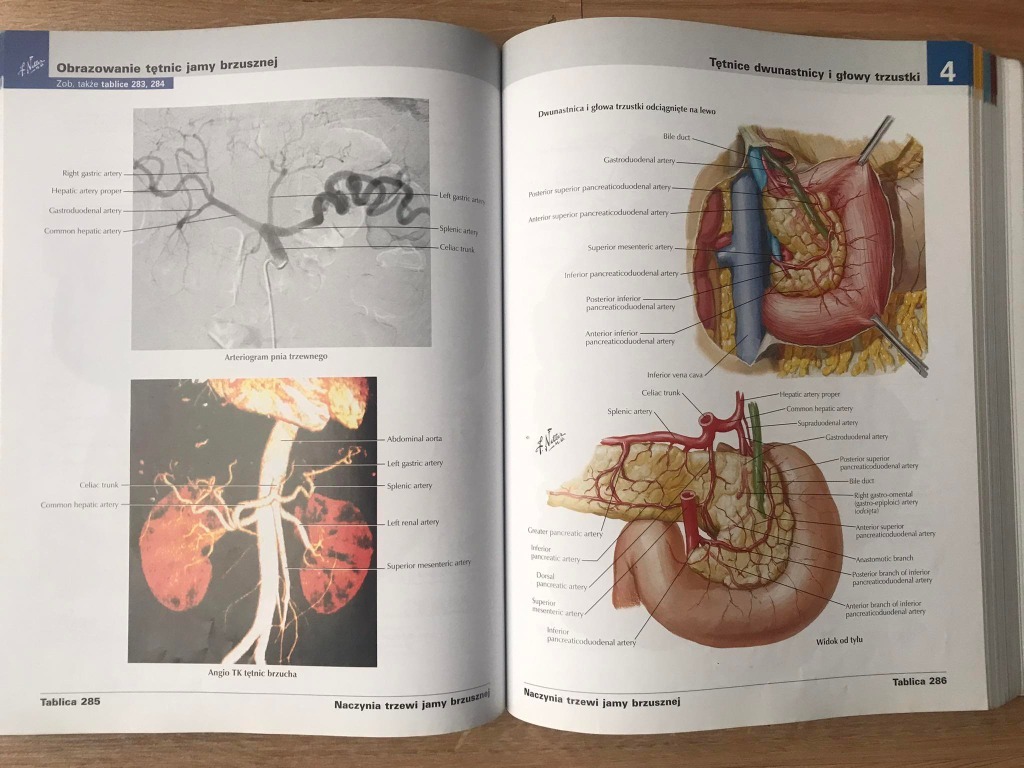 Atlas Anatomii Człowieka, Frank H. Netter, ang | Pręgowo Górne | Kup ...