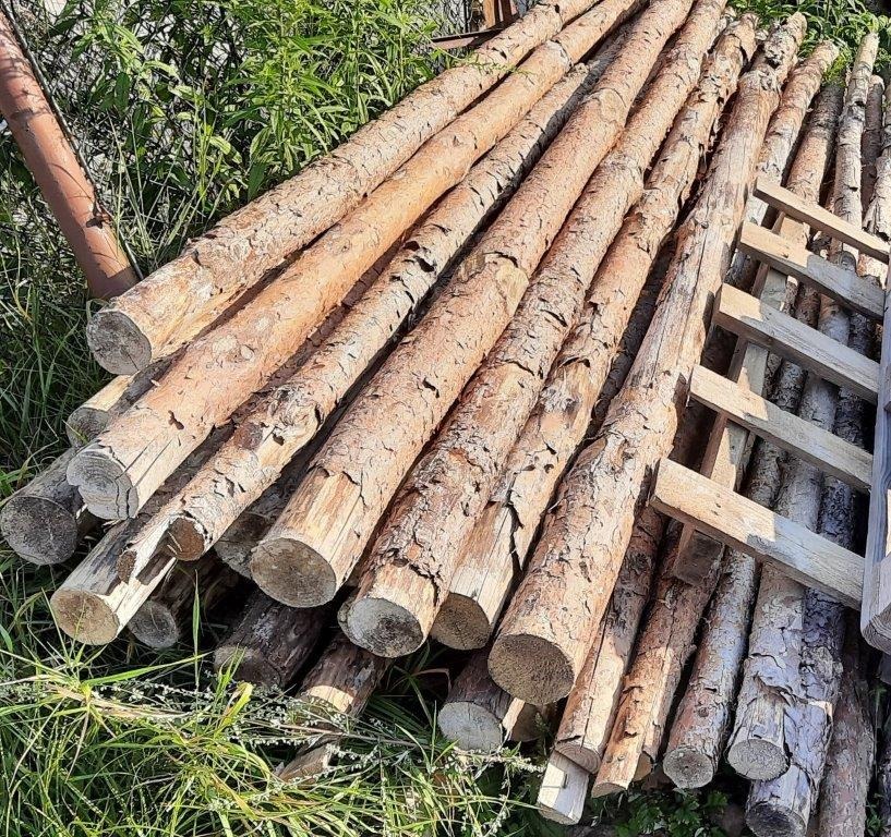 Stemple drewniane ok. 3m solidne ok. 250 szt. | Zagrody | Ogłoszenie na ...