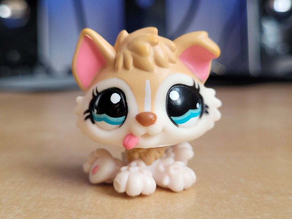 LPS Littlest Pet Shop pies piesek husky #1013 | Środa Wielkopolska ...