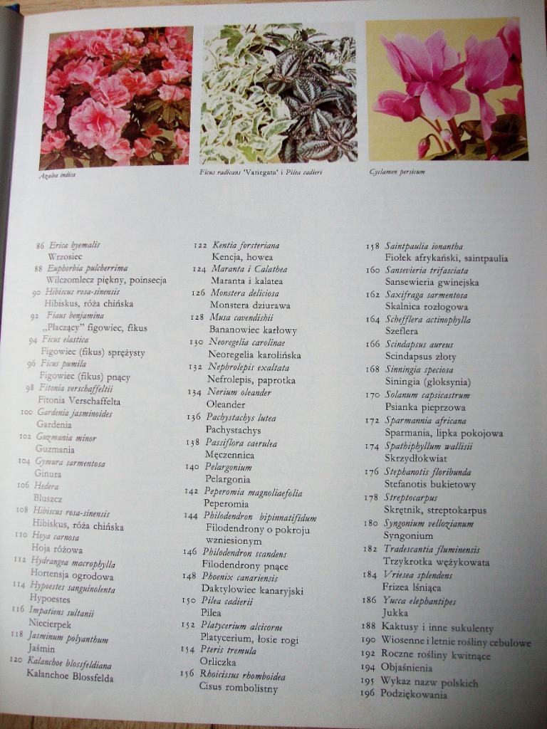 PIELĘGNOWANIE ROŚLIN POKOJOWYCH David Longman | Busko-Zdrój | Kup teraz ...