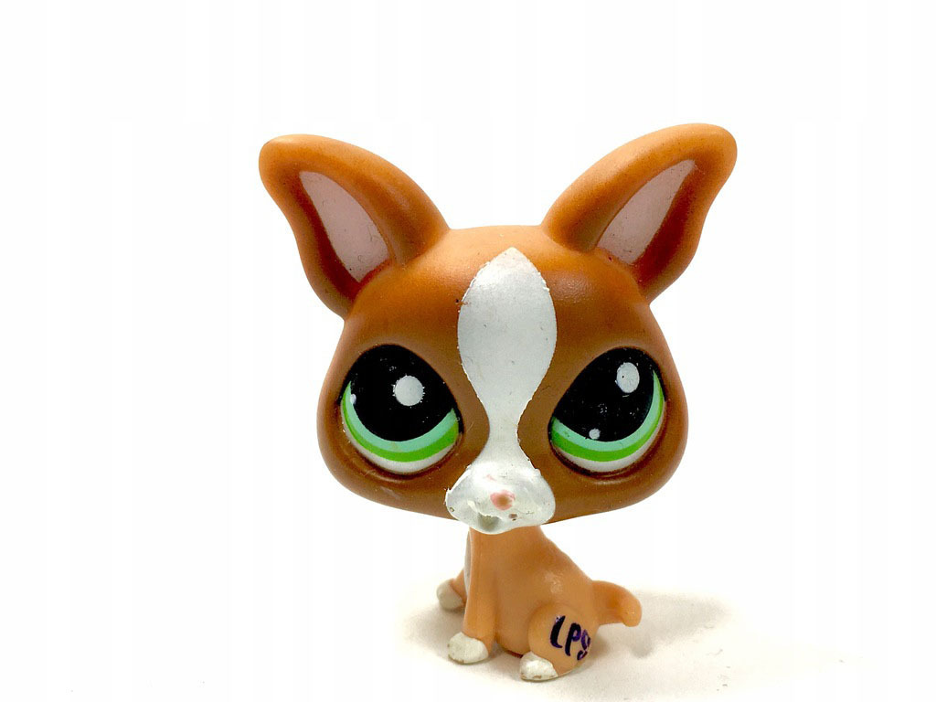 LITTLEST PET SHOP LPS PIES CHIHUAHUA CZIŁAŁA 1568 | Toruń | Kup teraz ...
