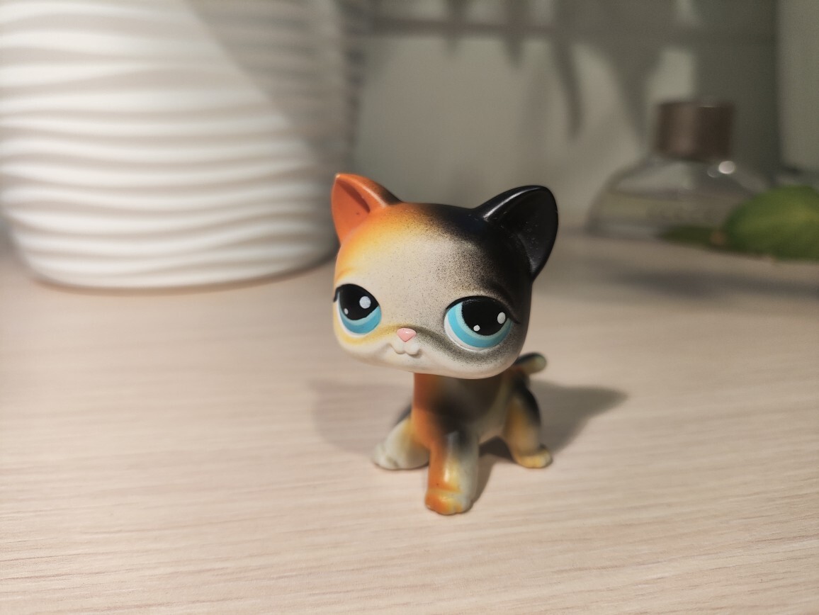 Littlest Pet Shop kot Shorthair 106 inal LPS | Dąbrowa górnicza | Kup ...