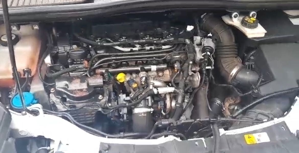 Silnik T7DB DXE 2.0 TDCI FORD C-MAX 150KM | Brody | Ogłoszenie na ...