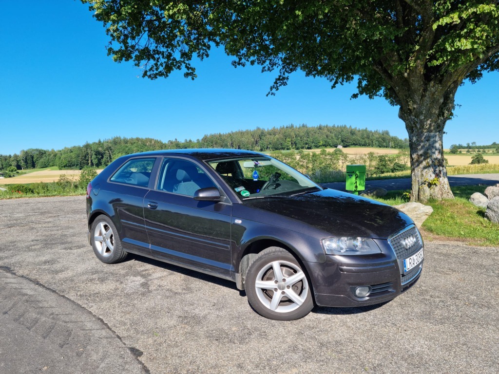Audi A3 8P 2007 benzyna+gaz | Radzyń Podlaski | Ogłoszenie na Allegro Lokalnie