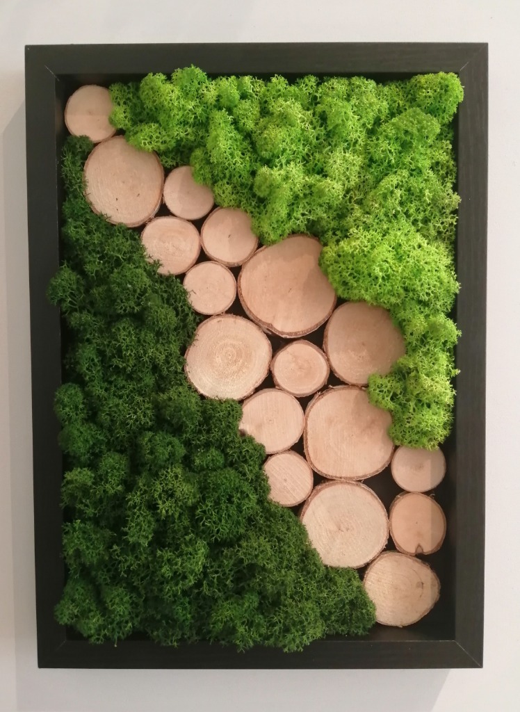 Prezent obraz mech chrobotek ramka 3D 23x32cm | Ruda Śląska | Kup teraz ...