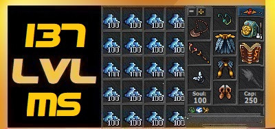 Tibia Sorcerer - Niska cena na Allegro.pl