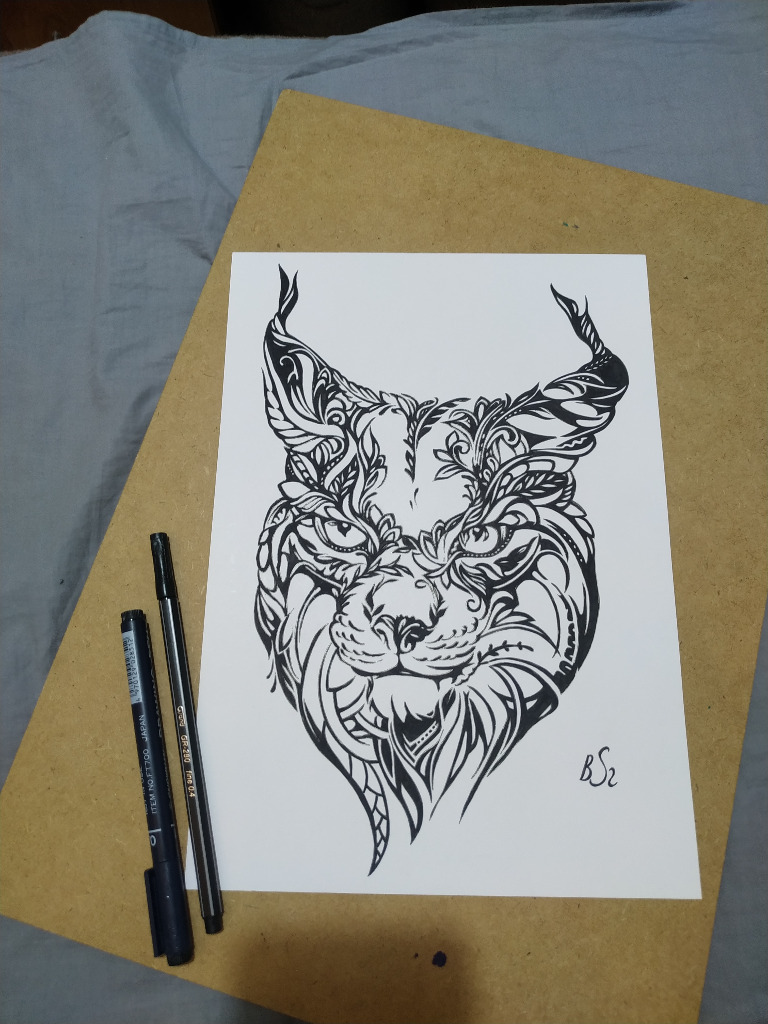 Rysunek: ryś nr 2 cienk A4 250g m2 | Warszawa | Kup teraz na Allegro ...