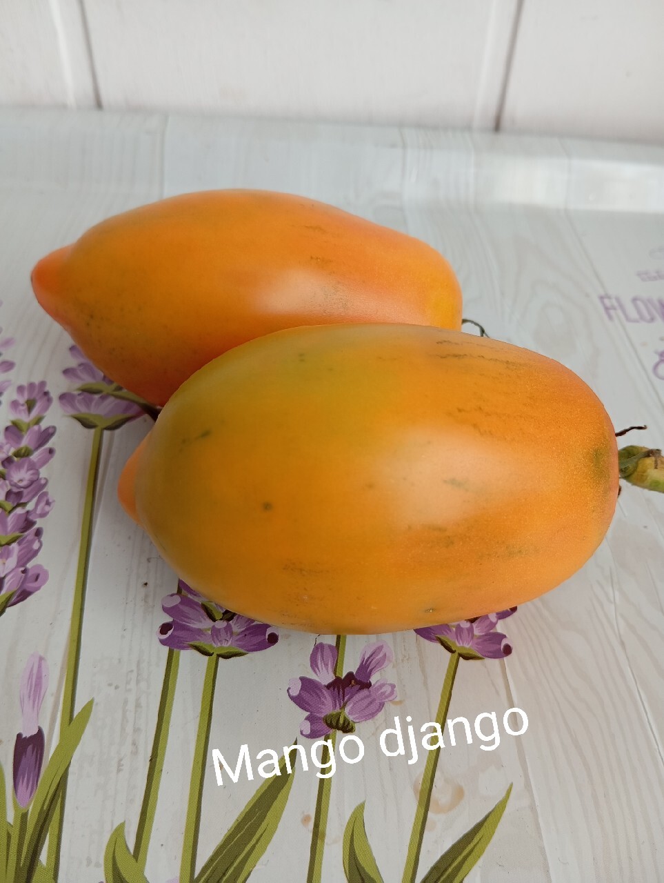 Pomidor Mango Django rzadki Nasiona kolekcjonerskie | Jasło | Kup teraz ...