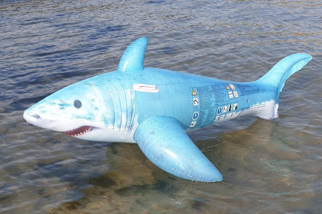 Dmuchany Rekin na wodę-dmuchaniec | Radom | Kup teraz na Allegro Lokalnie