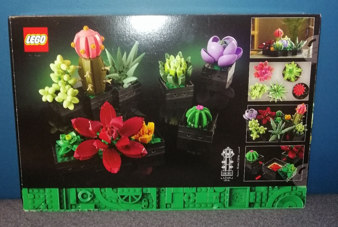 Klocki lego Kaktusy | Będzinko | Kup teraz na Allegro Lokalnie