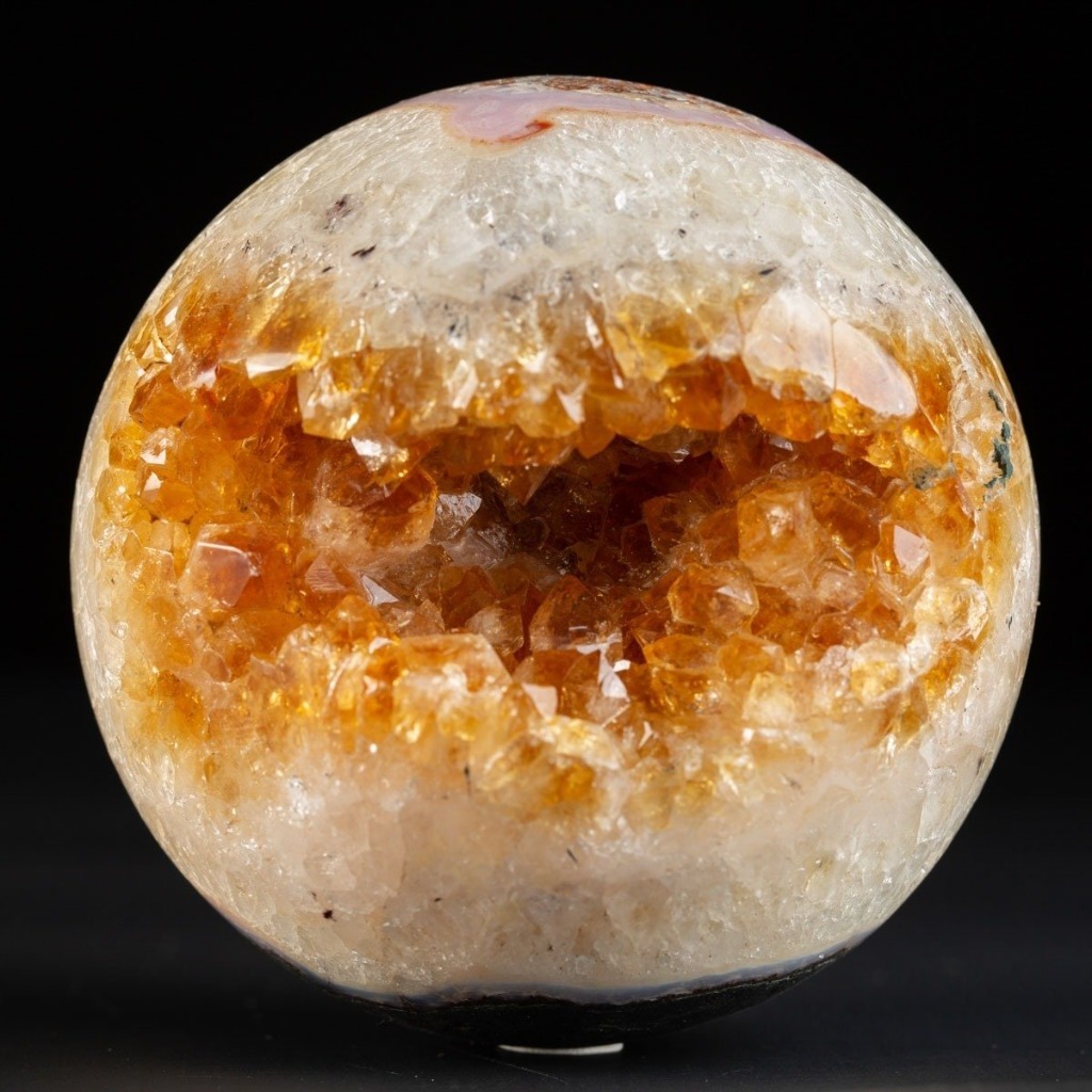 Cytryn Geoda - Niska cena na Allegro.pl