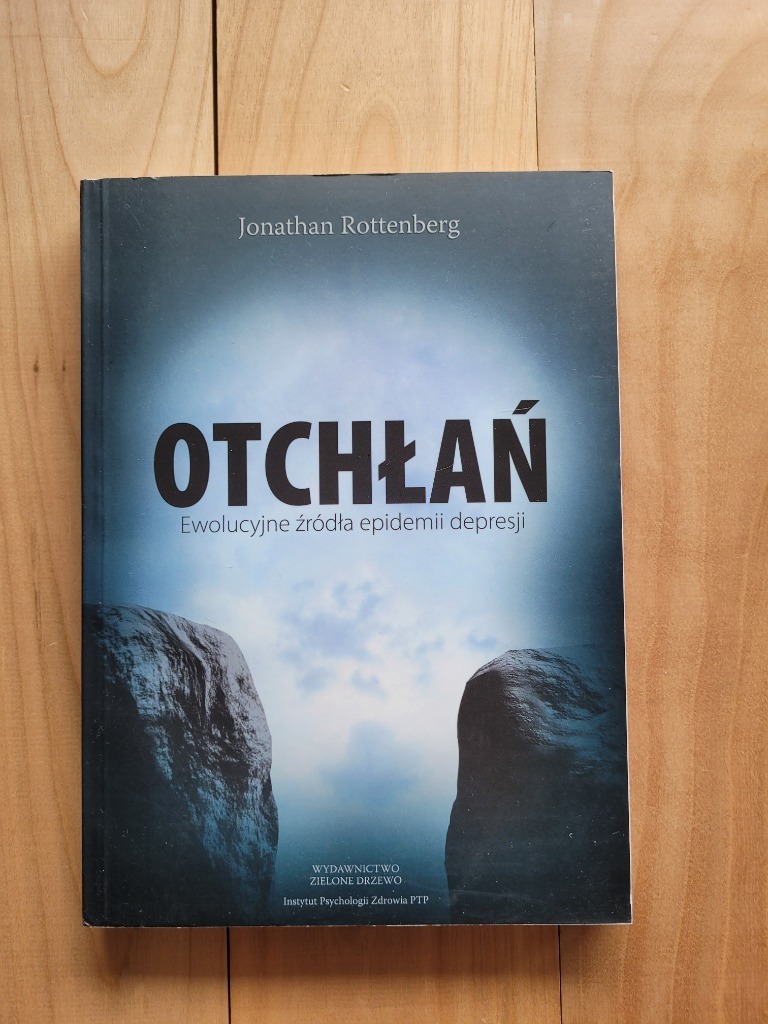 Otchłań - Jonathan Rottenberg | Warszawa | Kup teraz na Allegro Lokalnie