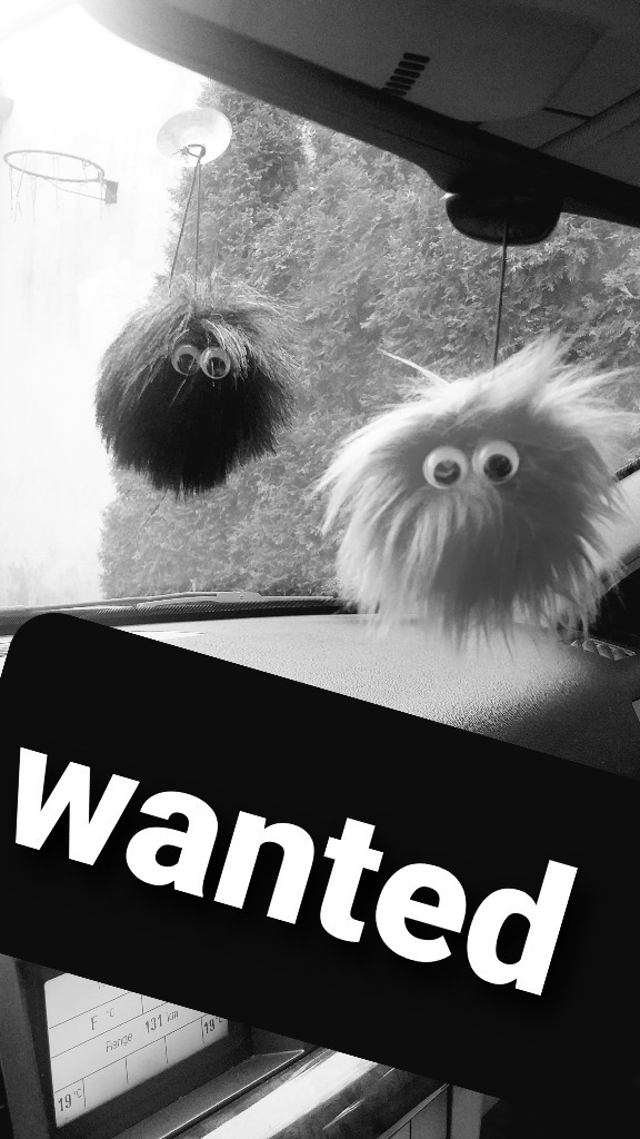 zapachowy futrzak | ŁÓDŹ | Kup teraz na Allegro Lokalnie