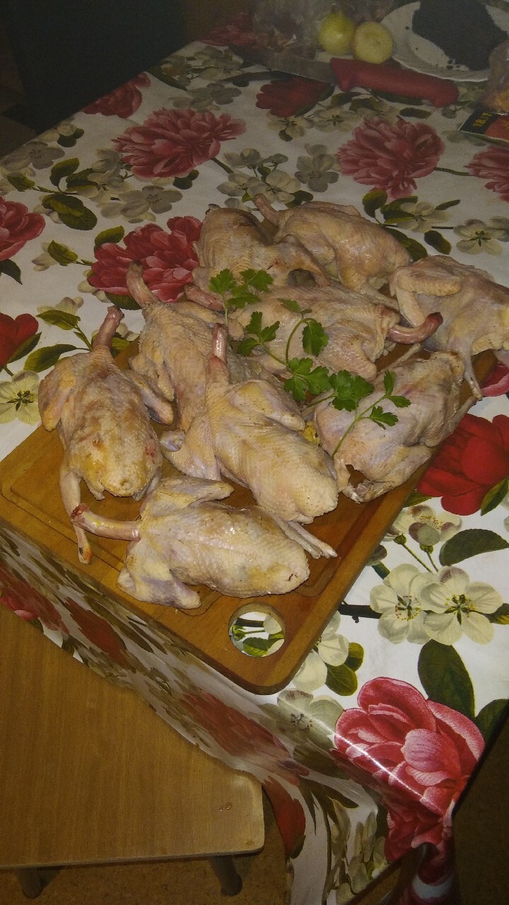 Tuszki gołębie gęsie kacze królicze | Młynowo | Ogłoszenie na Allegro ...