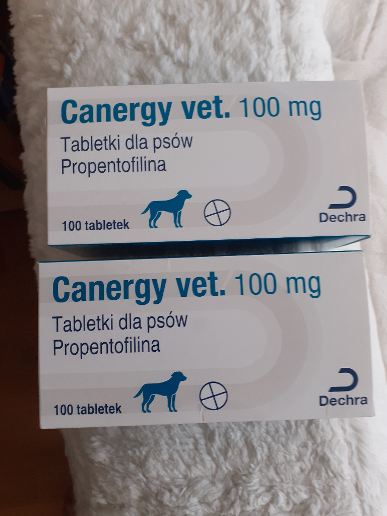 Canergy - Niska cena na Allegro.pl