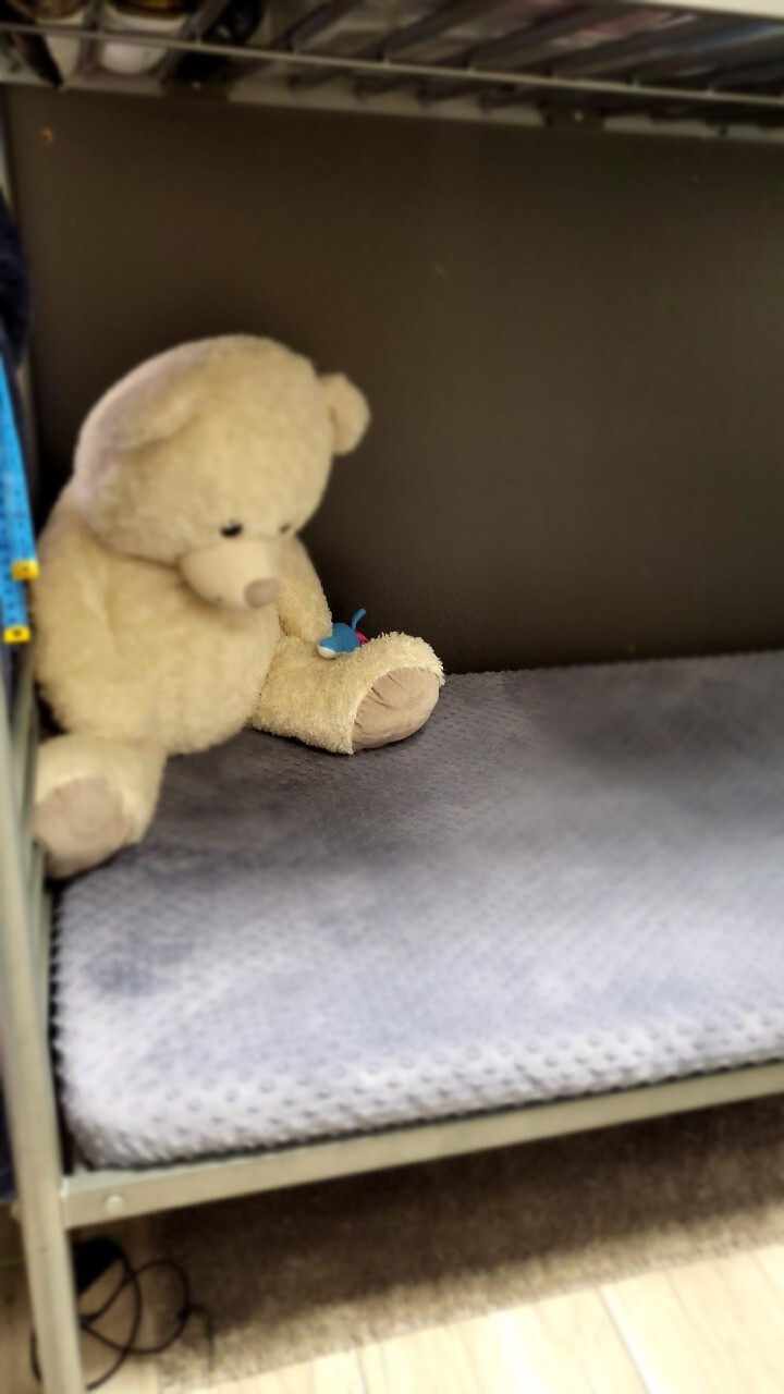 Używane Łóżko Piętrowe - Niska cena na Allegro.pl