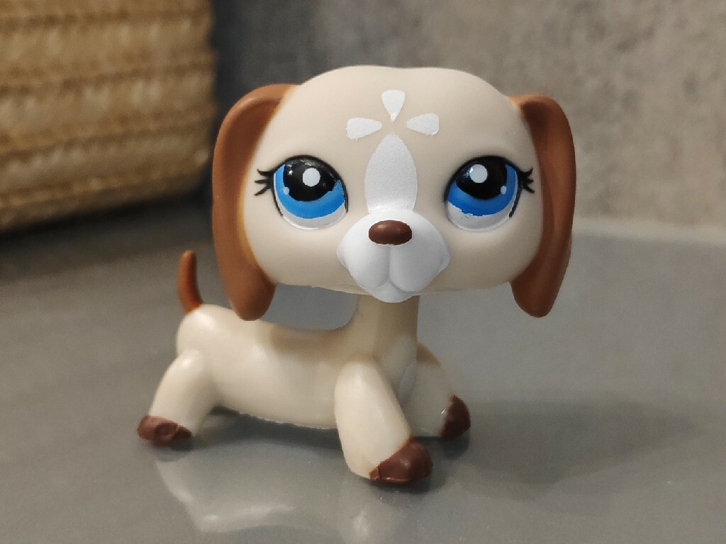 LPS Littlest Pet Shop pies piesek jamnik pop #1491 | Środa Wielkopolska ...