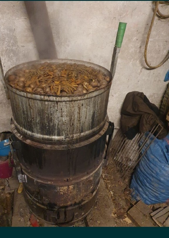 Półtusze, tucznik | Bydgoszcz | Ogłoszenie na Allegro Lokalnie