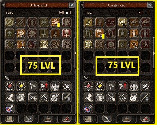 Metin2 Polska Wojownik Body 75 lvl + SMOK 75lvl nie 105 / 120 / 75 ...