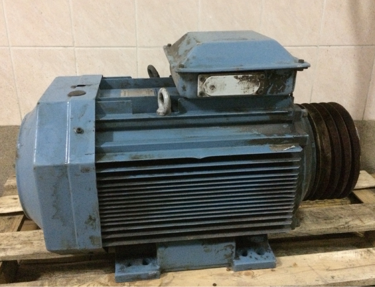 Silnik elektryczny ABB 22kw 980 obr ABB m3aa 200 | Katowice | Kup teraz ...
