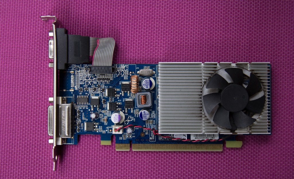 NVIDIA GeForce GT310 512MB VGA,DVI,HDMI + gratis | Kołobrzeg ...