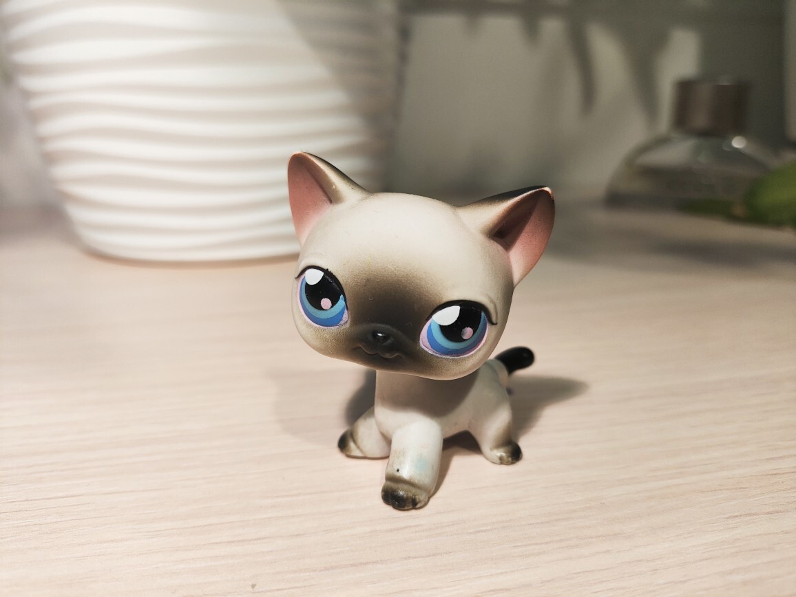 Littlest Pet Shop kot Shorthair #5 oryginal LPS | Dąbrowa górnicza ...