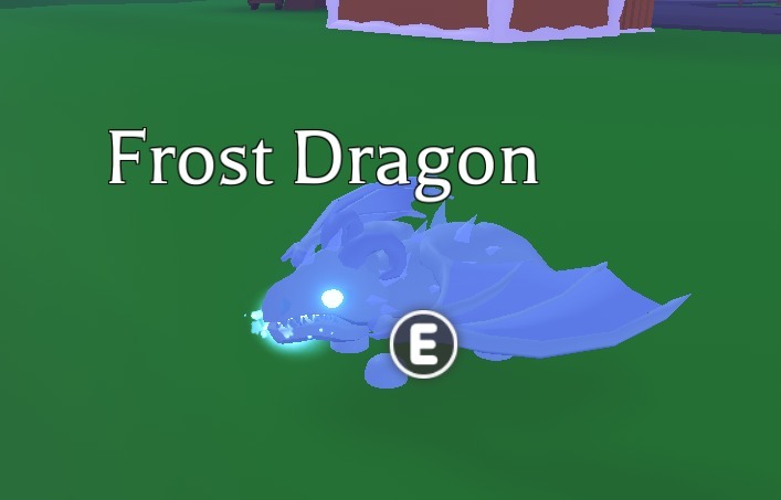 ADOPT ME FROST DRAGON | Gdynia | Kup teraz na Allegro Lokalnie