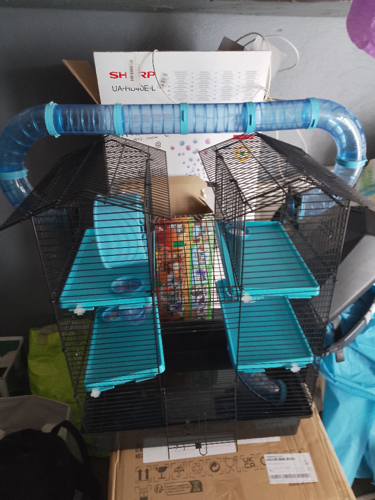 Klatka dla chomika duży duza klatka mała pod i akwarium | Bytom | Kup teraz na Allegro Lokalnie