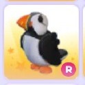 Adopt me Puffin ride EXOTIC | Słupsk | Kup teraz na Allegro Lokalnie