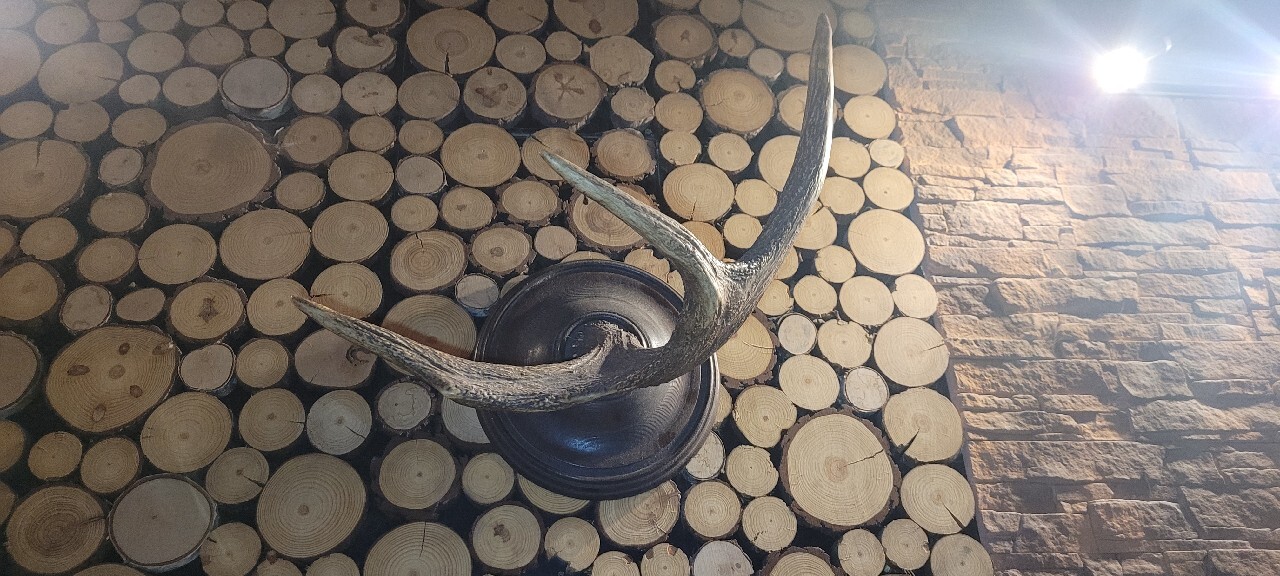 Wieszak z Poroża - Niska cena na Allegro.pl