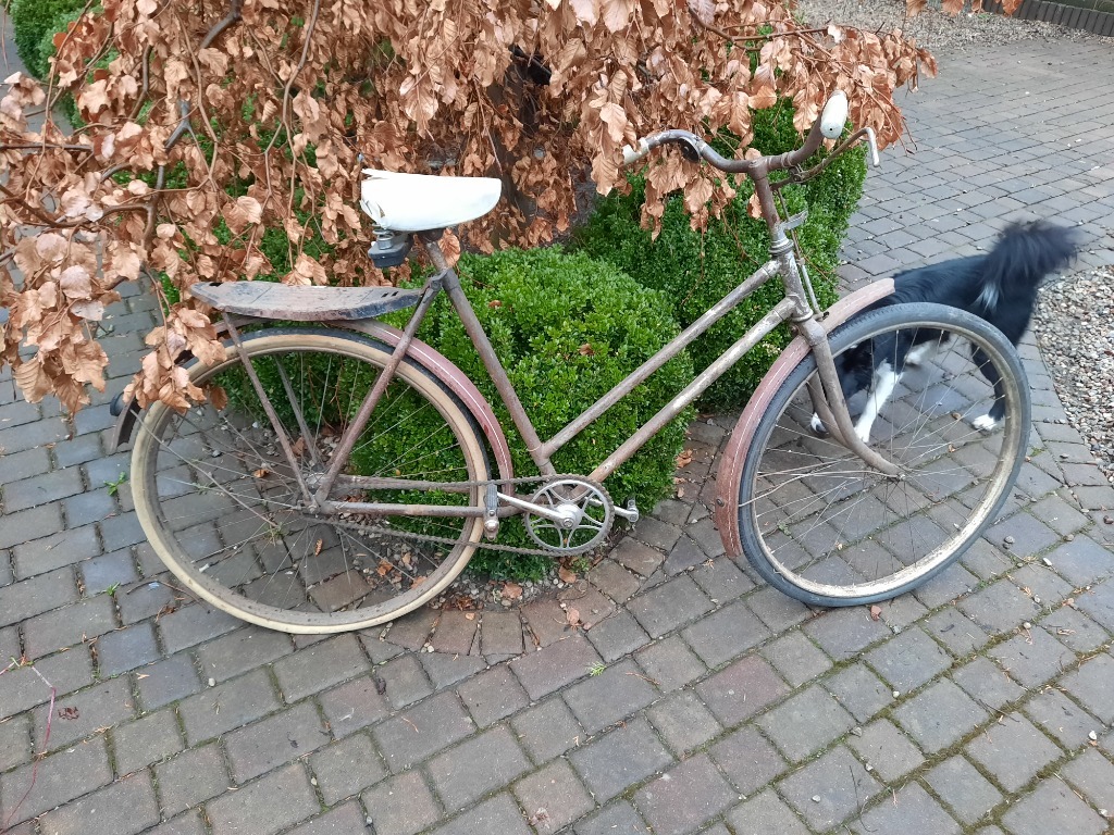 Stary Rower Łucznik - Niska cena na Allegro.pl