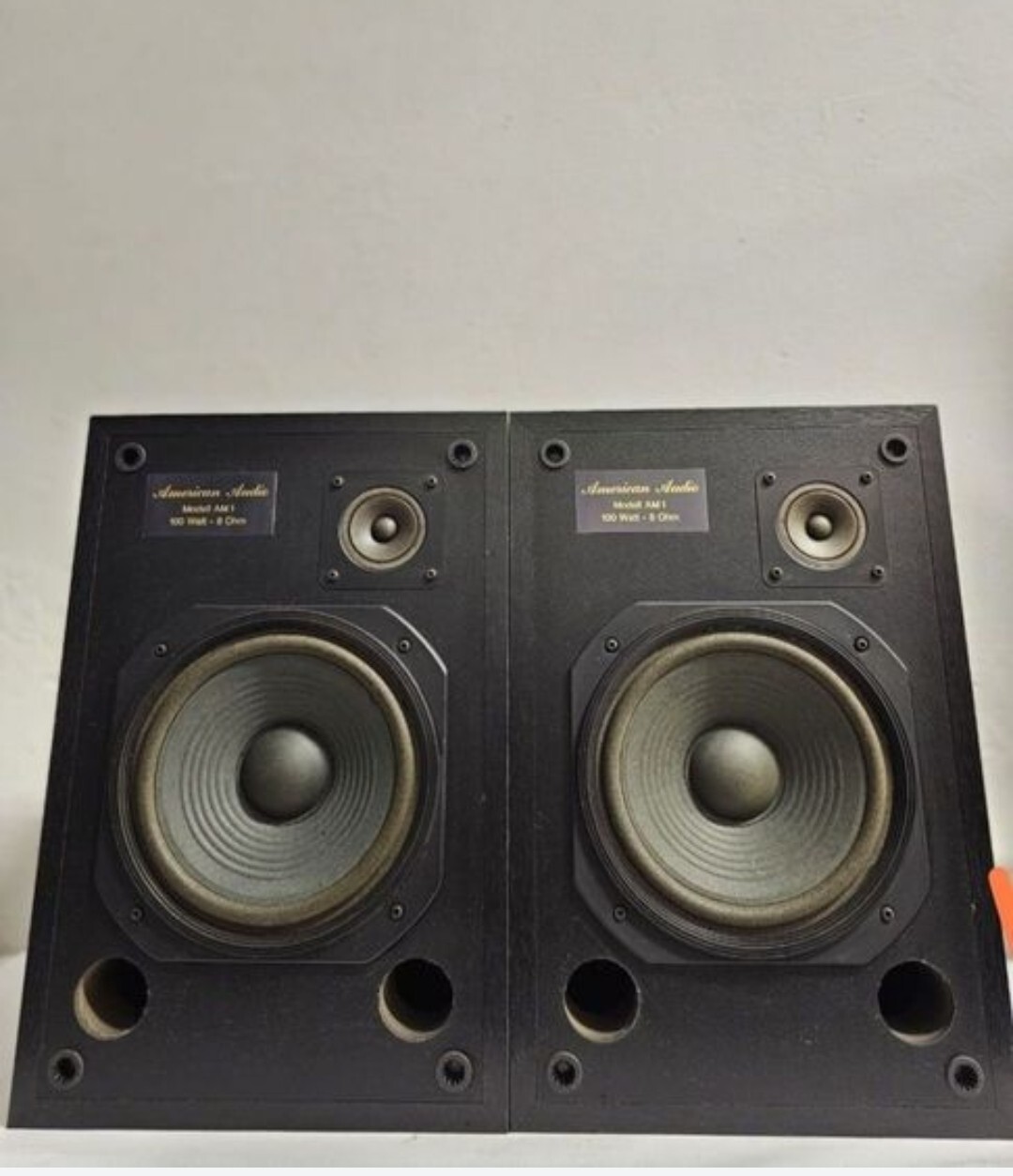 Kolumny Glocniki GLOBE tronics American audio am 1 | Bytom | Kup teraz ...