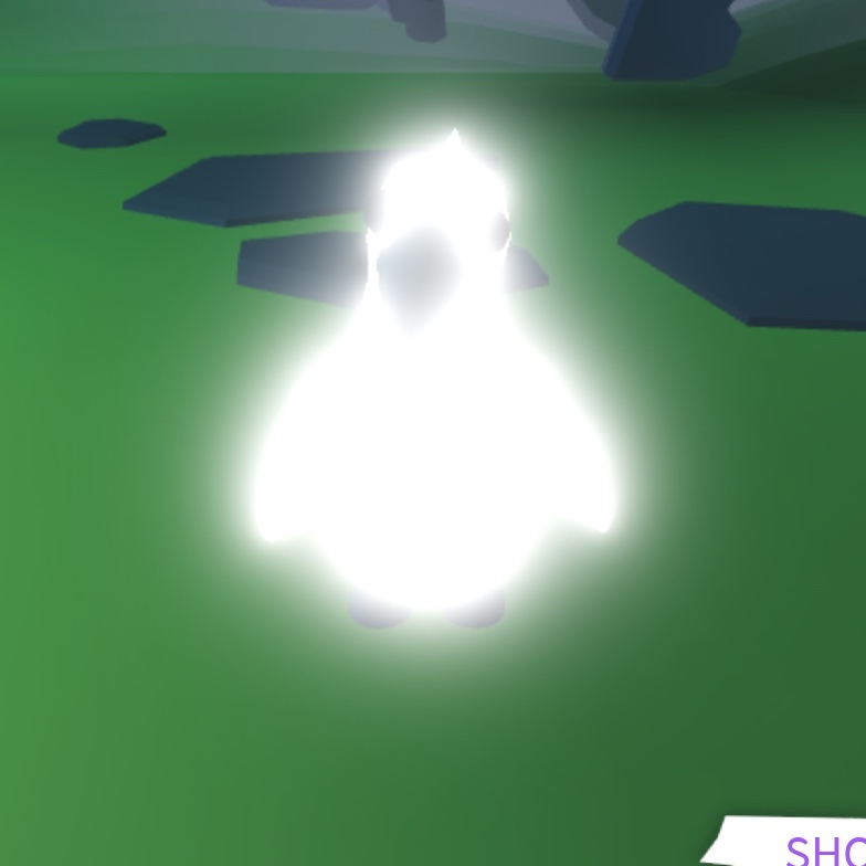 Neon fly ride Crow (adopt me) | Warszawa | Kup teraz na Allegro Lokalnie