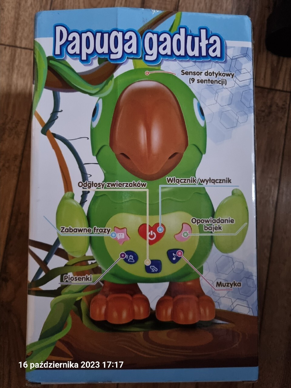 Papuga gadula | Strzebiń | Kup teraz na Allegro Lokalnie