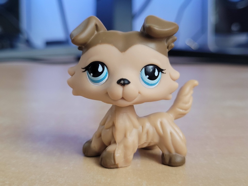 LPS Littlest Pet Shop pies piesek Collie #893 | Środa Wielkopolska ...