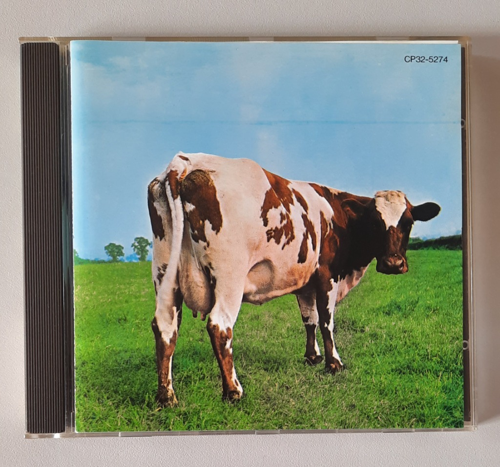 Pink Floyd Japan Cd - Niska cena na Allegro.pl