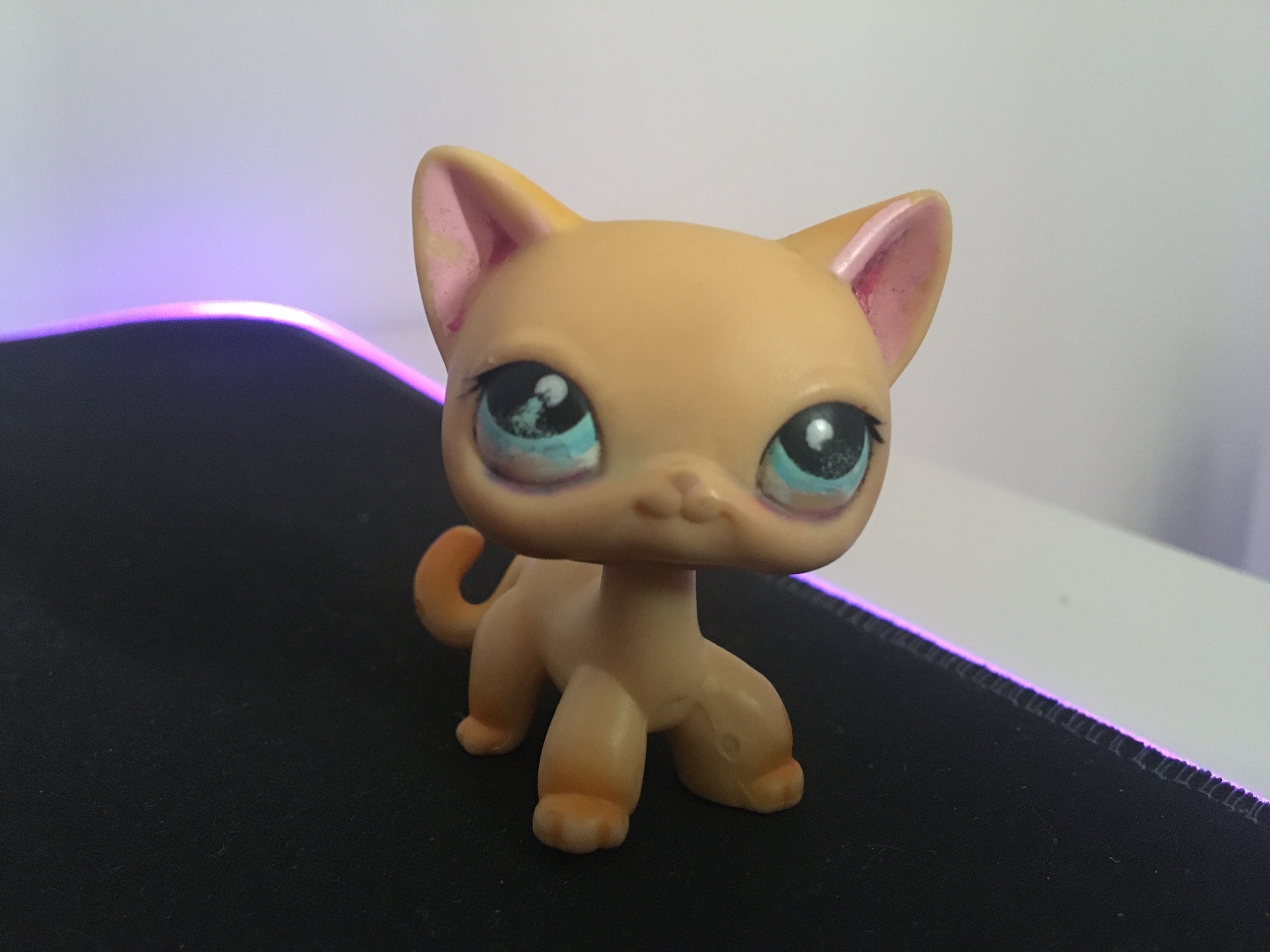 Lps Shorthair Pop - Niska cena na Allegro.pl